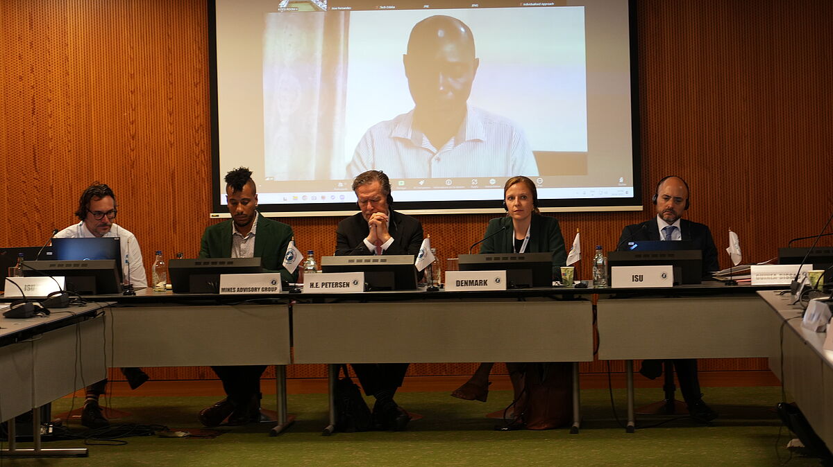 Individualised Approach | Anti-Personnel Mine Ban Convention